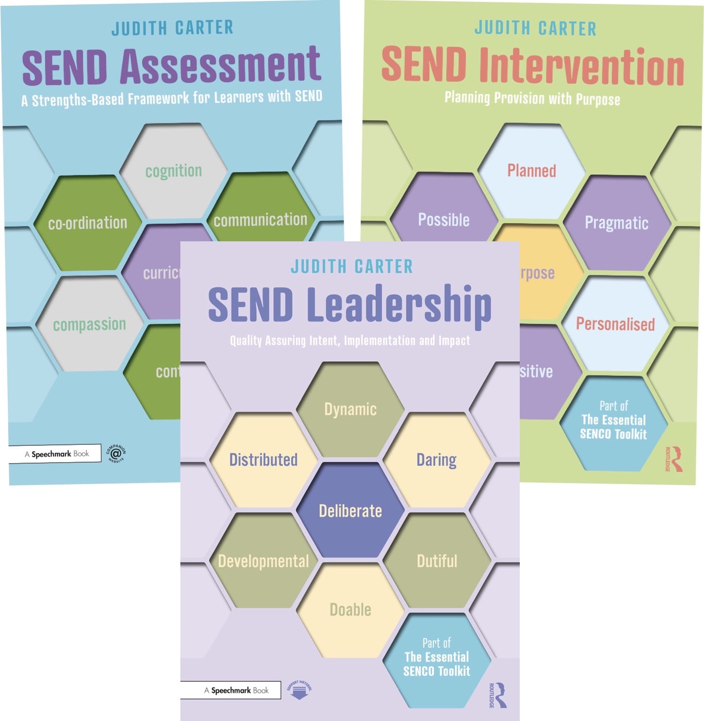 The Essential SENCO Toolkit | Silvereye