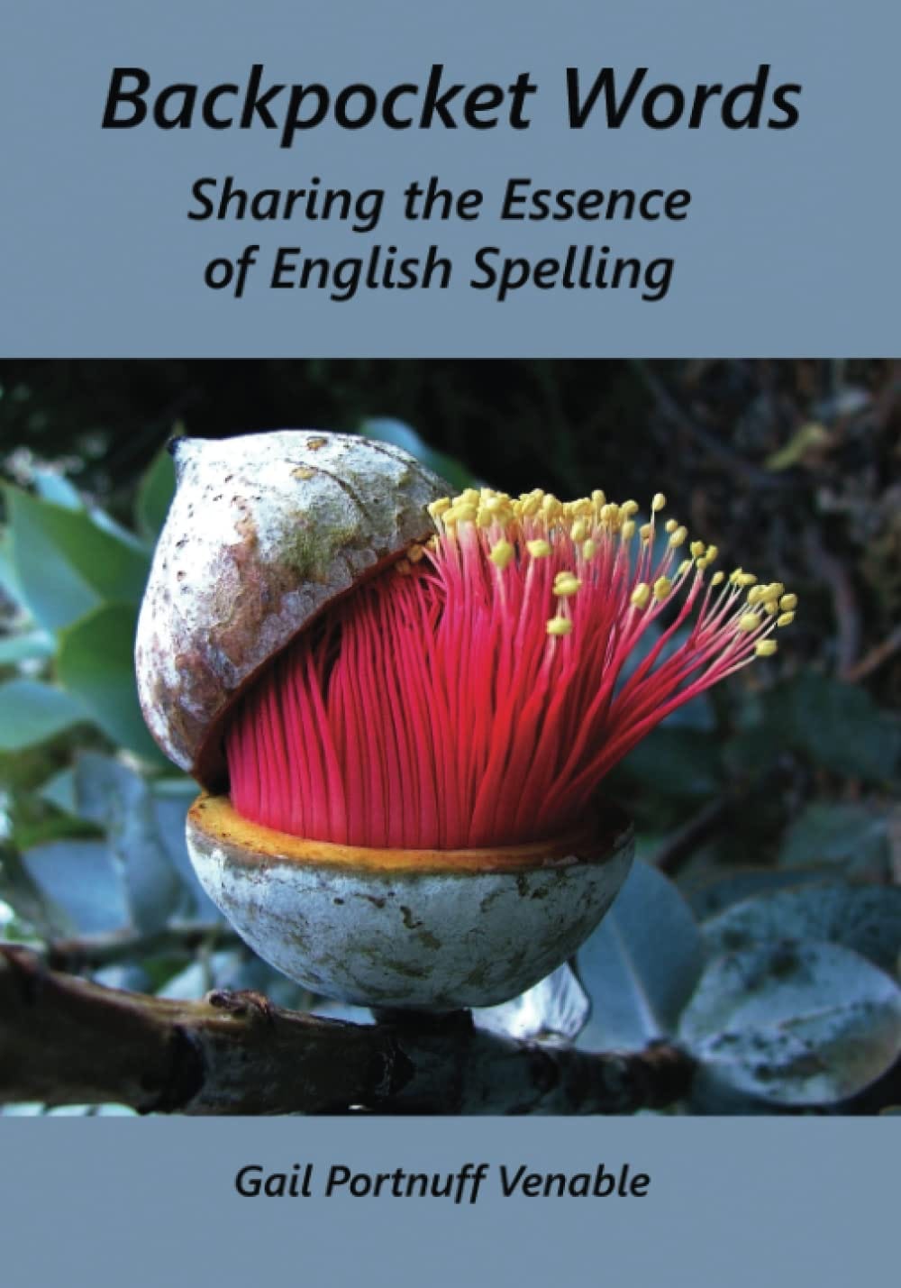 Backpocket Words: Sharing the Essence of English Spelling | Silvereye